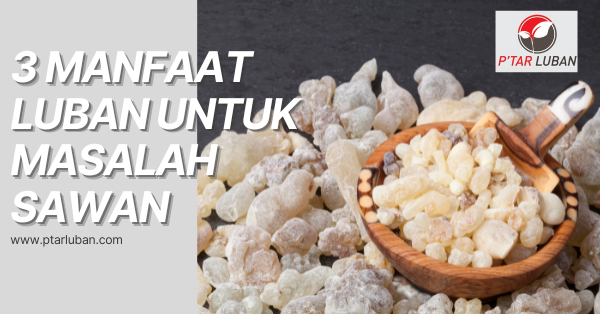 7 Jenis Makanan Patut Elak Oleh Pesakit Sawan - PtarLuban.com