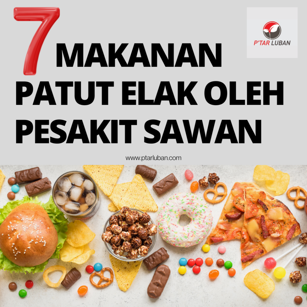 7 Jenis Makanan Patut Elak Oleh Pesakit Sawan - PtarLuban.com